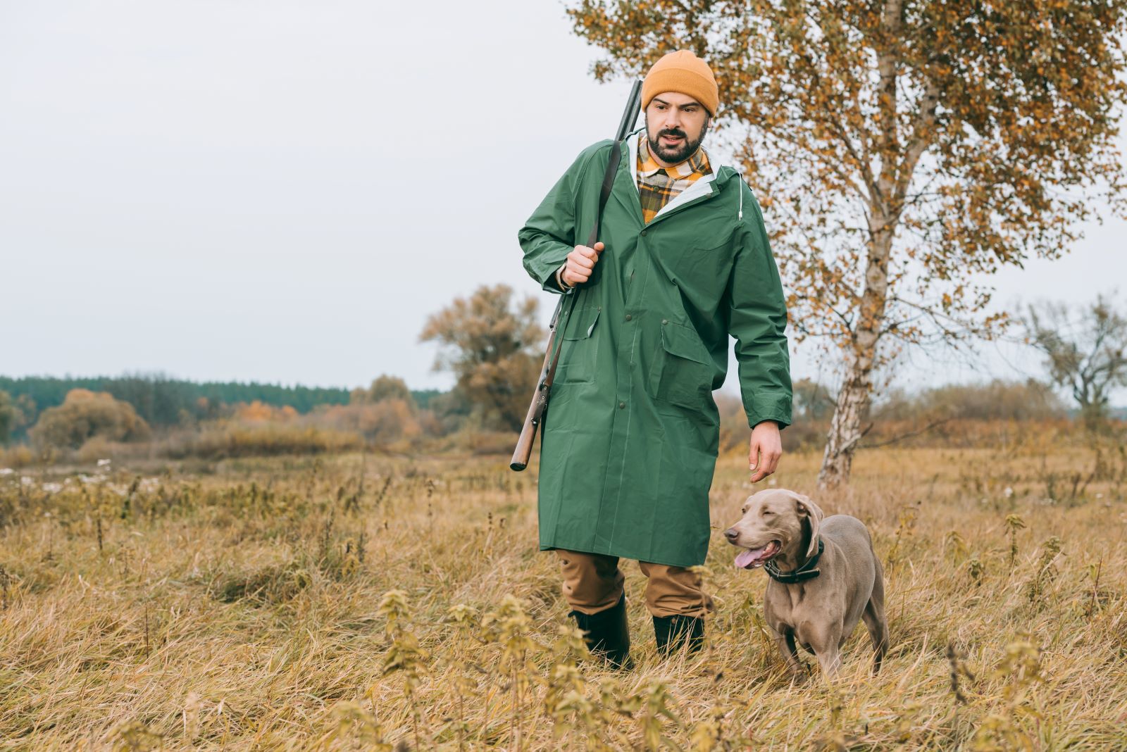 Passionné de chasse? 60 espèces chassables en France que vous devez ...