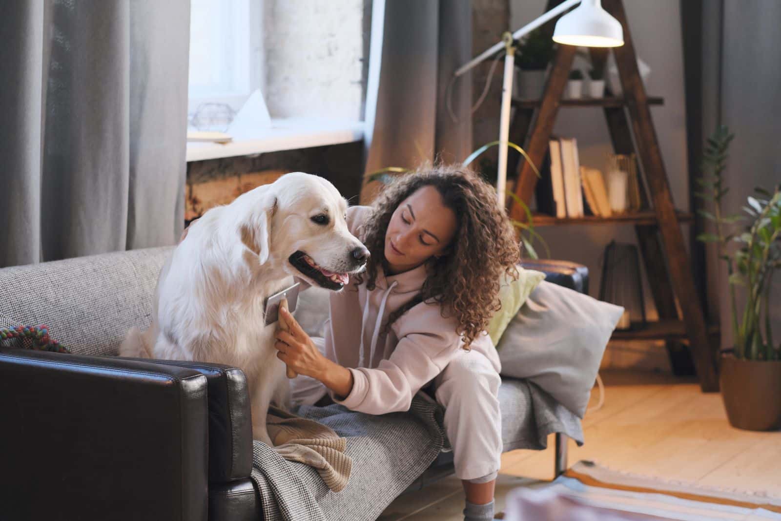 Garder son animal en bonne santé : nos 5 recommandations